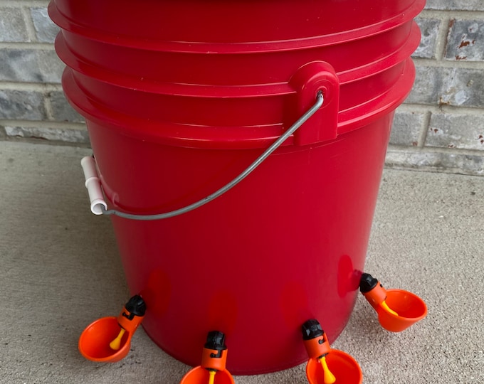 CHICKEN Waterer Red Feeder Water Bucket, 4th of July Special, 4 Cup ...