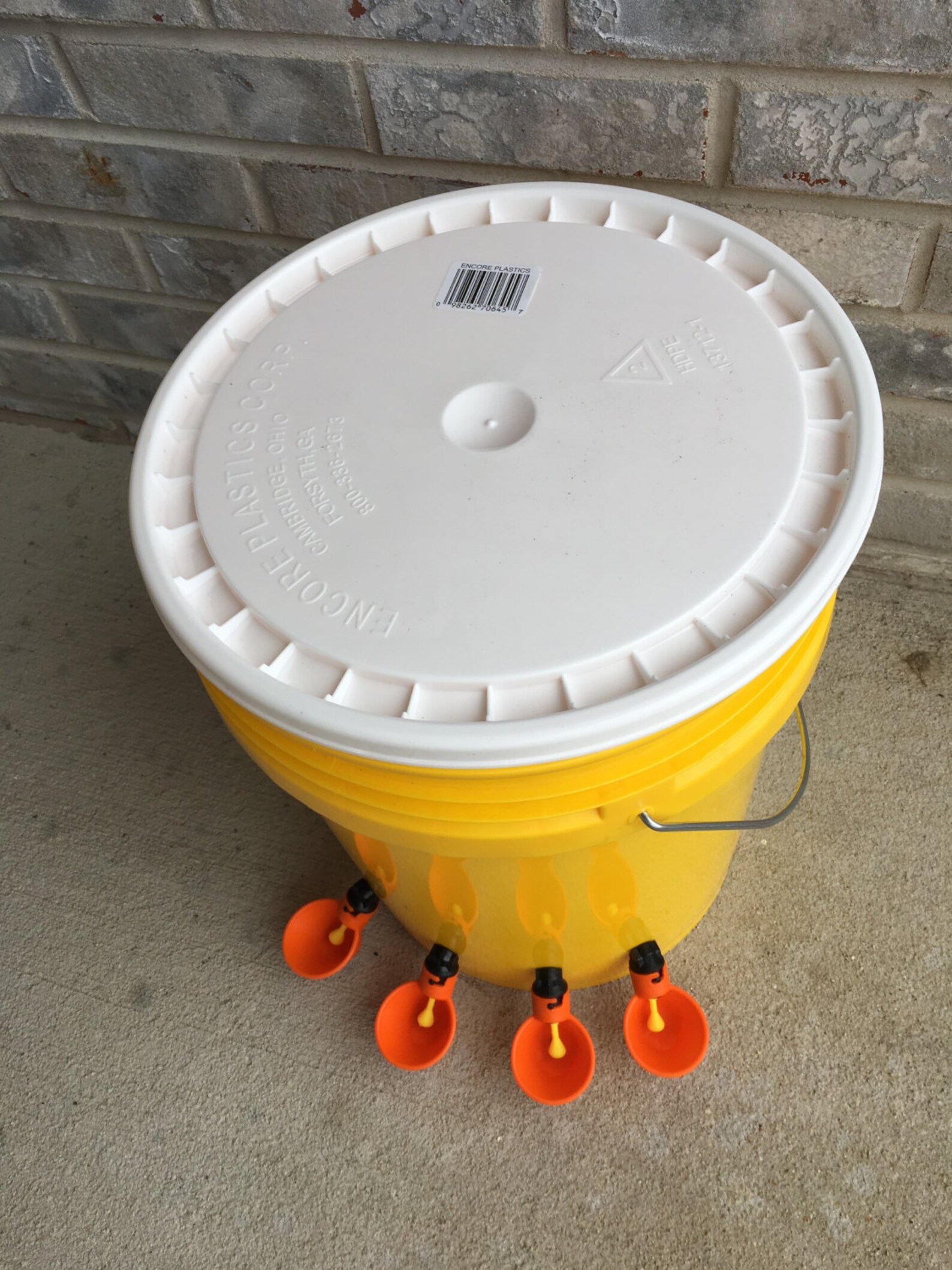 Automatic Chicken Waterer: Yellow Bucket, 4 Cup Style Christmas New ...