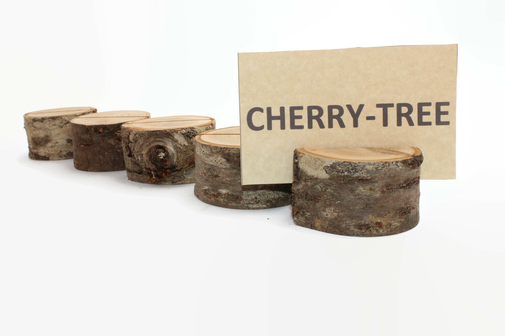 Set of 10 Cherry Tree Place Card Holders Woodland Wedding | Etsy
