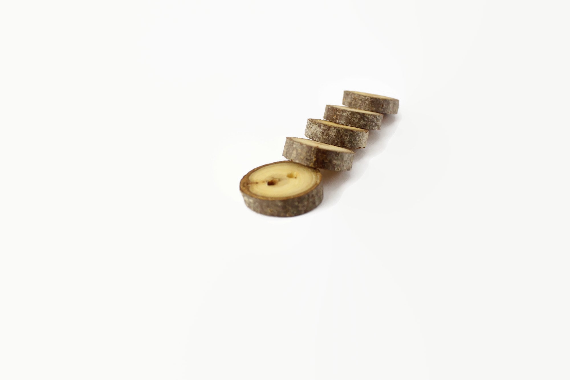 Set of 10 Spruce Wood Buttons. Pine Wood Buttons. Rustic Wooden Buttons ...