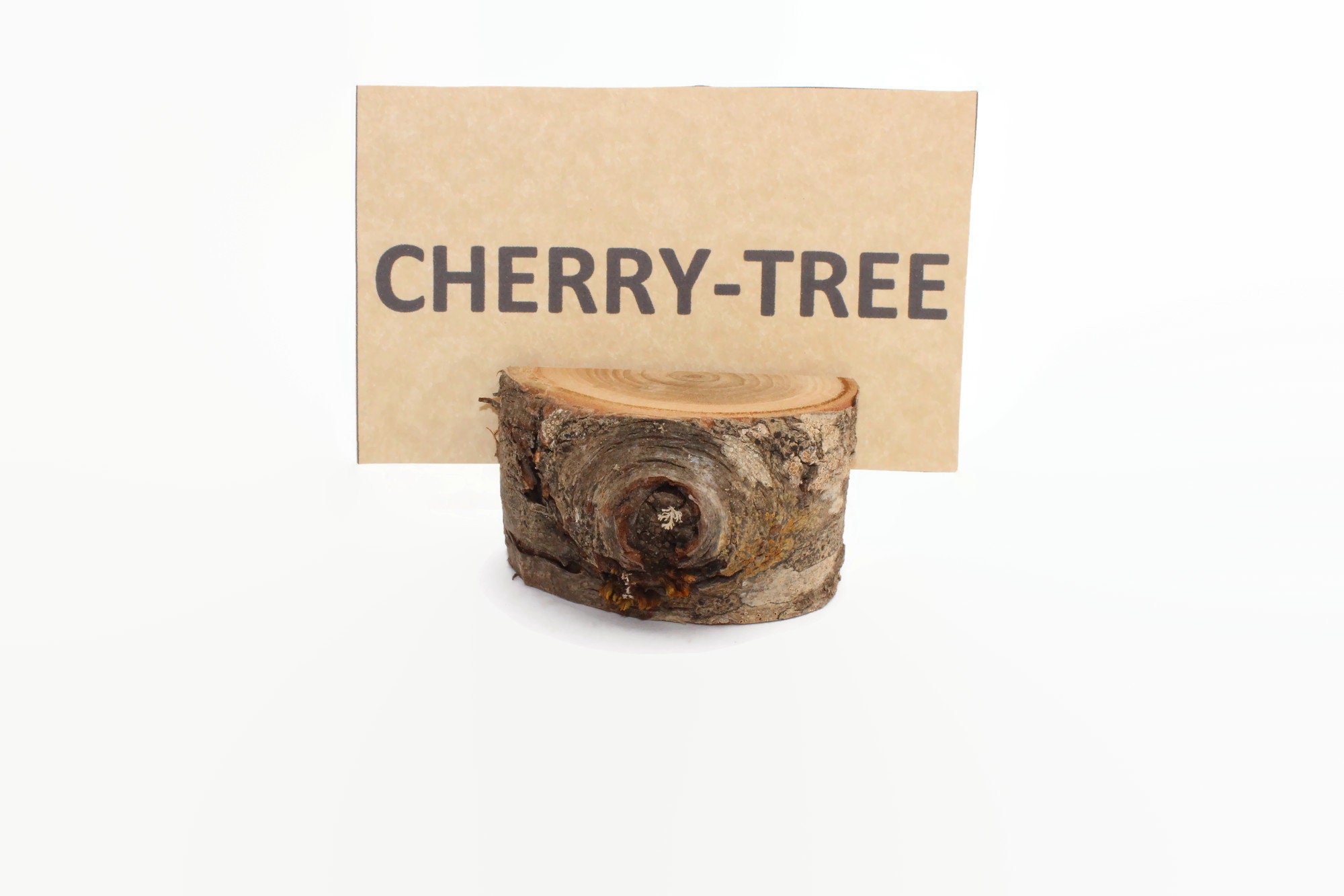 Set of 10 Cherry Tree Place Card Holders Woodland Wedding | Etsy