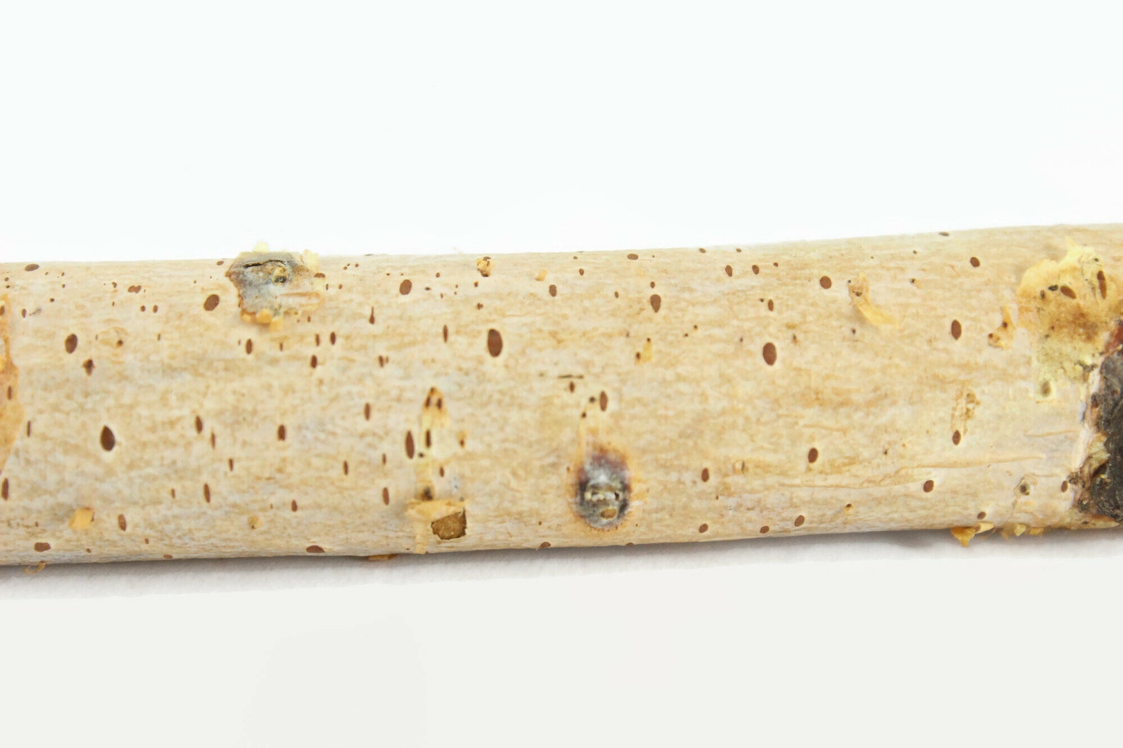 Personalized Wooden Pencils | Rustic Wedding Decors | Rustic Pencils ...