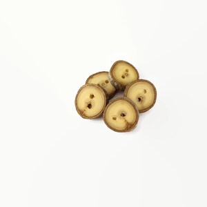 Set of 10 Spruce Wood Buttons. Pine Wood Buttons. Rustic Wooden Buttons ...