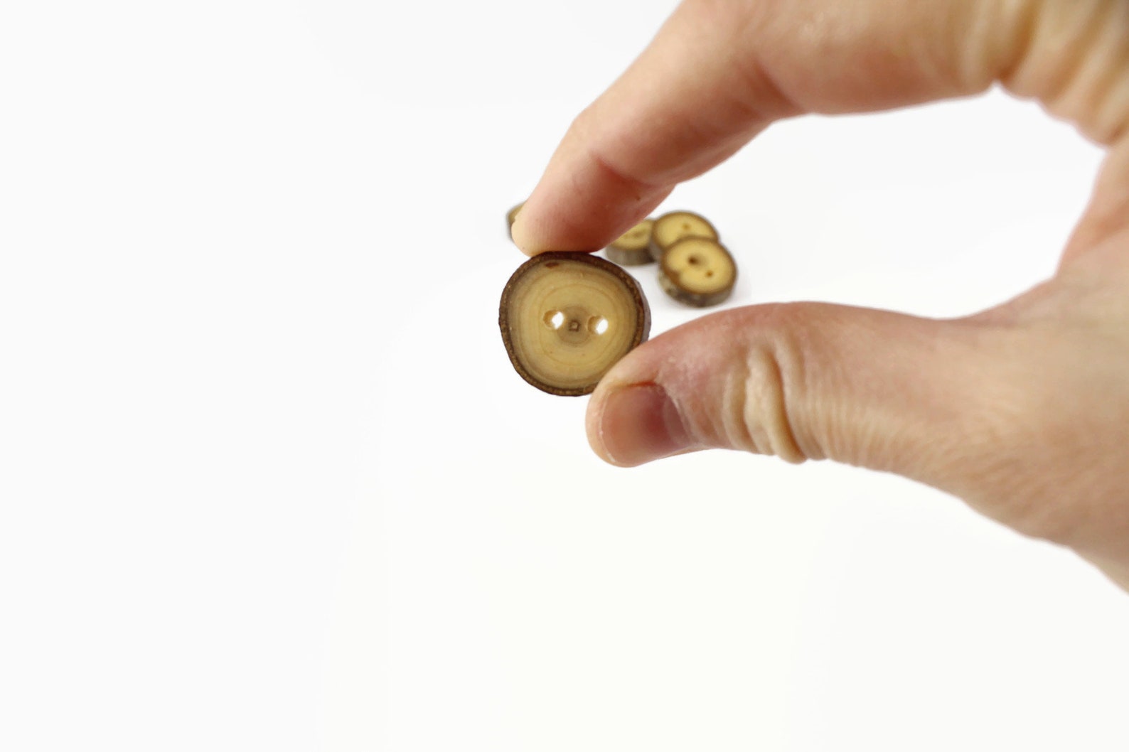 Set of 10 Spruce Wood Buttons. Pine Wood Buttons. Rustic Wooden Buttons ...
