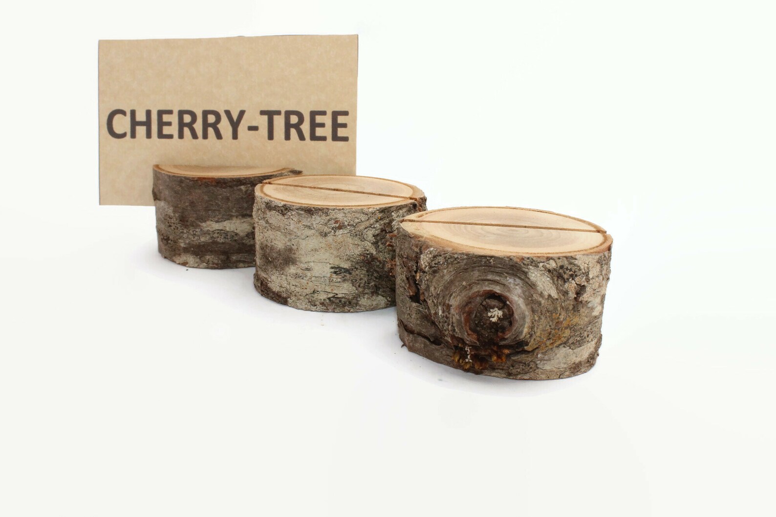 Set of 10 Cherry Tree Place Card Holders Woodland Wedding | Etsy