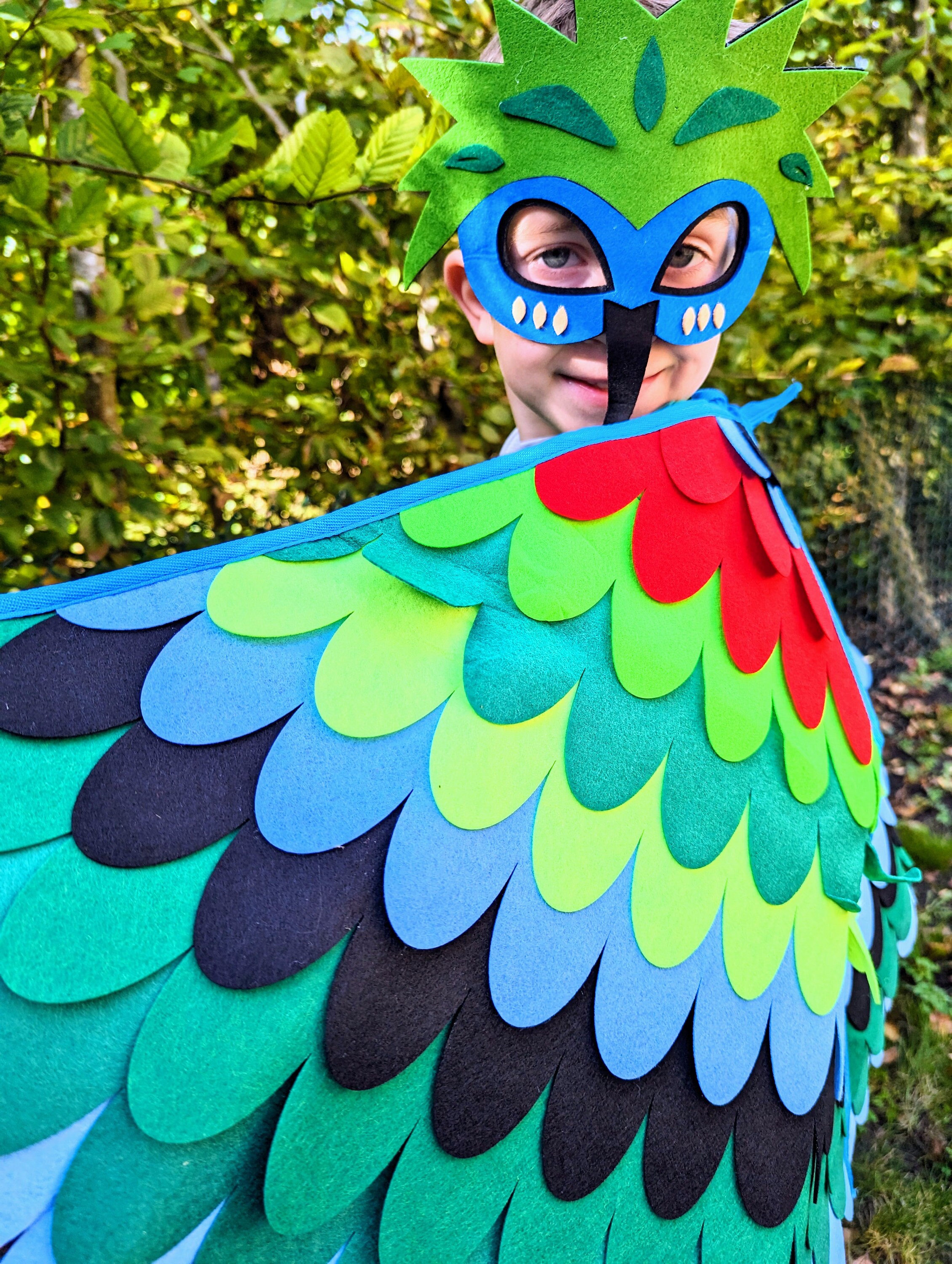 Bird Wings and Mask Dressing up Costume Rainbow Parrot Felt Feather ...