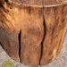 Tree Stump Table / Side Table / Lamp / Night Table With Remote Internal ...