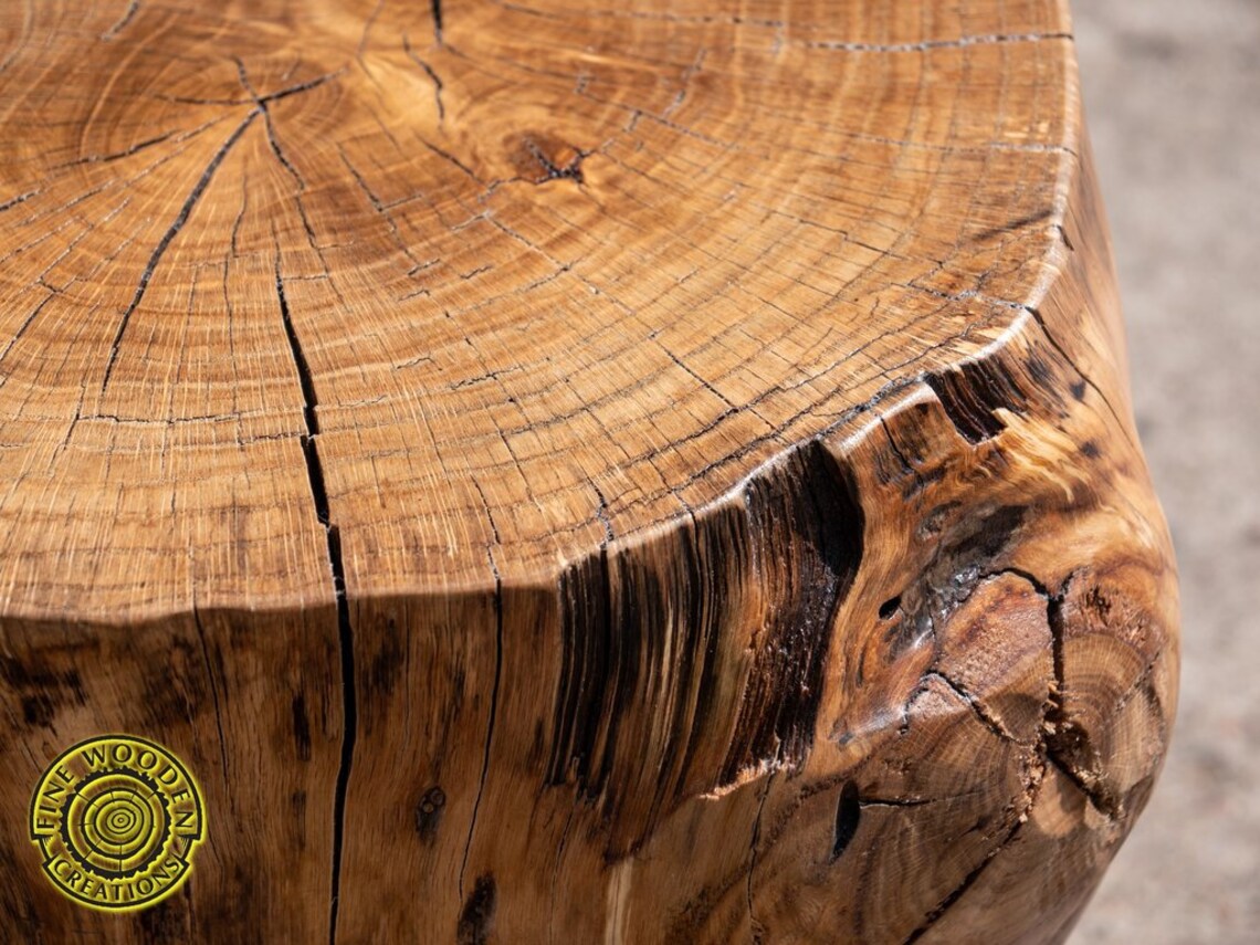 Tree Stump Table / Side Table / Lamp / Night Table With Remote - Etsy