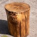 Tree Stump Table / Side Table / Lamp / Night Table With Remote - Etsy