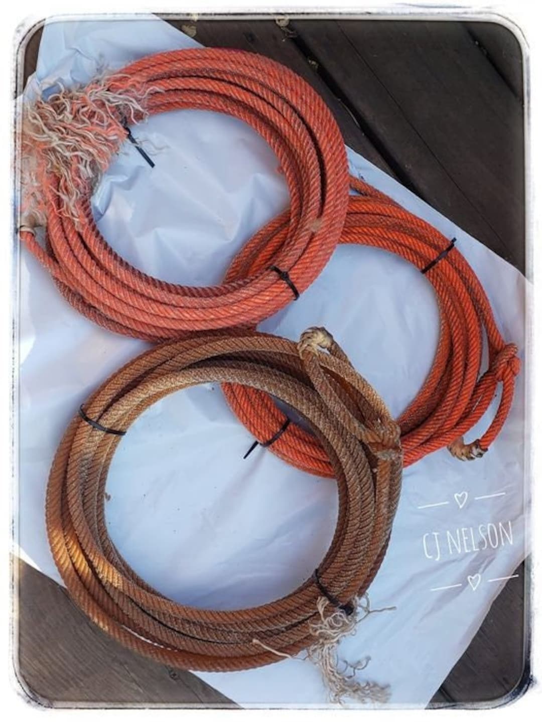 Cowboy Lariat Ropes in Fall and Halloween Colors.....perfect for ...
