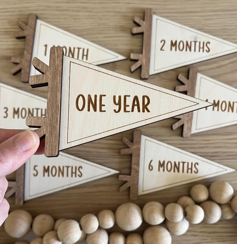 Monthly Milestone Pennant Flags, Baby Photo Prop, First Year Pictures ...