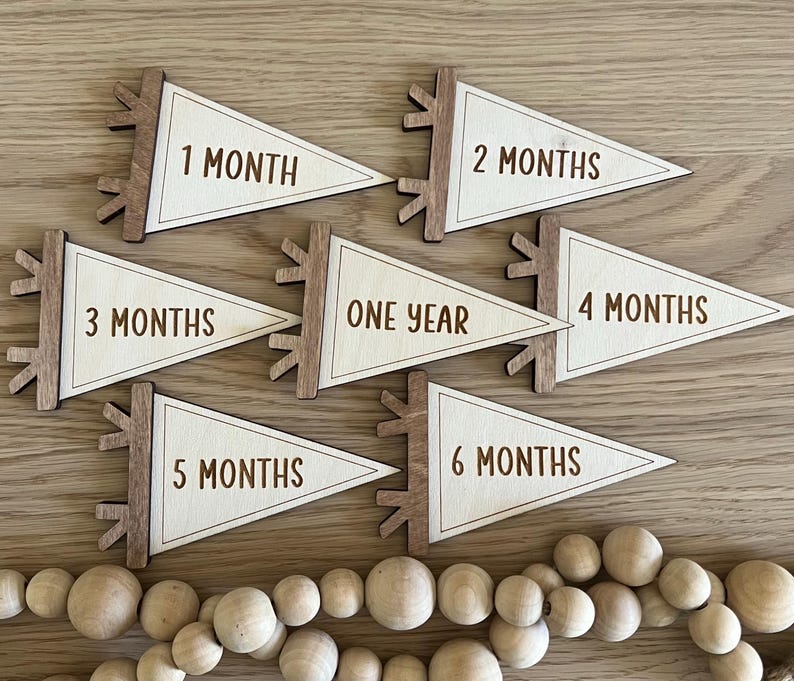 Monthly Milestone Pennant Flags, Baby Photo Prop, First Year Pictures ...