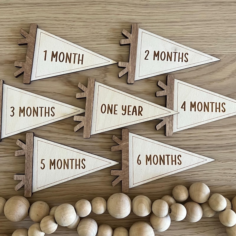 Monthly Pennant for Baby - Etsy