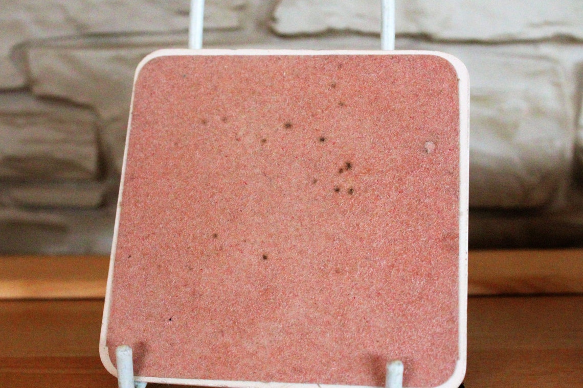 Set of 7 Ceramic Grapes Coasters, Drink Coasters, Wine Cork Puller ...