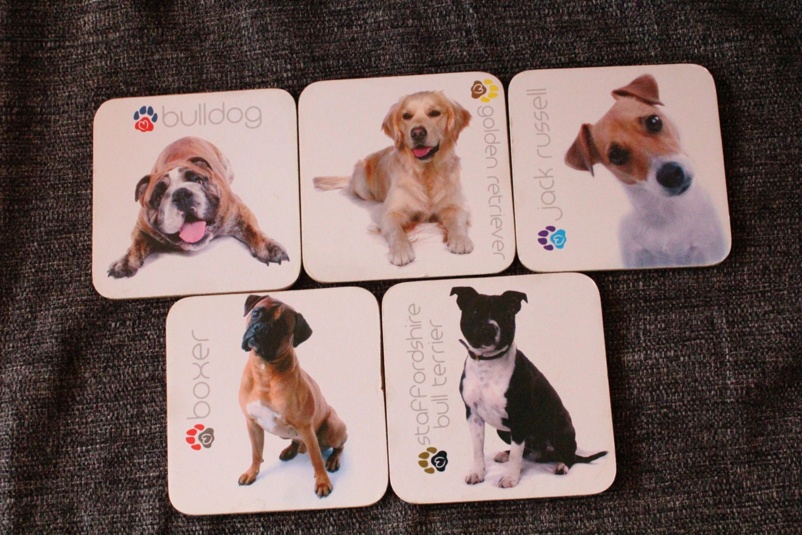 Set of 5 Dog Photo Coasters Puppy Photos Coasters Dog - Etsy