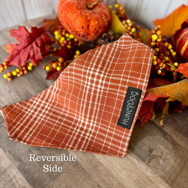 Falling Leaves – Reversible, Over the Collar Dog Cat Bandana | Fall Dog ...