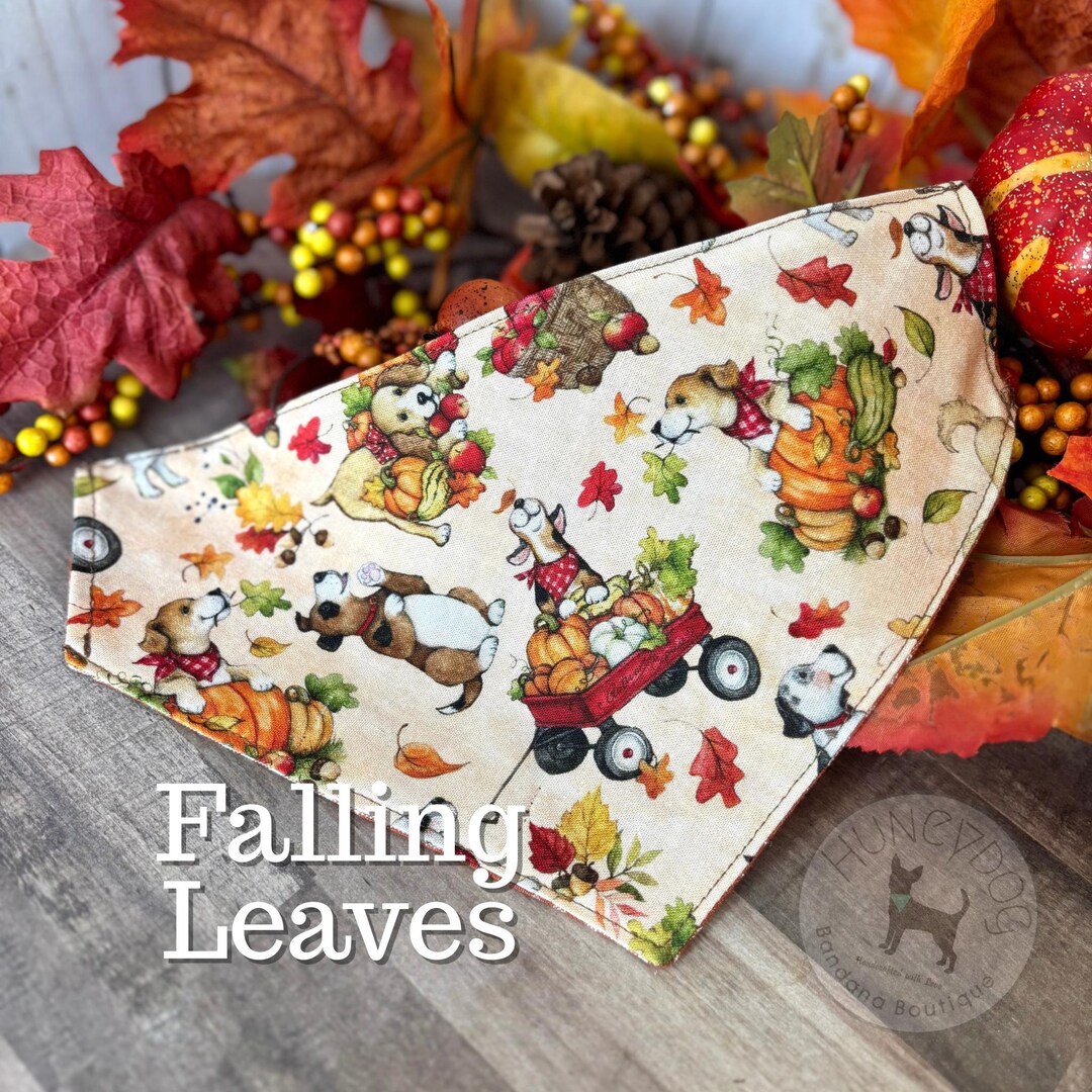 Falling Leaves – Reversible, Over the Collar Dog Cat Bandana | Fall Dog ...