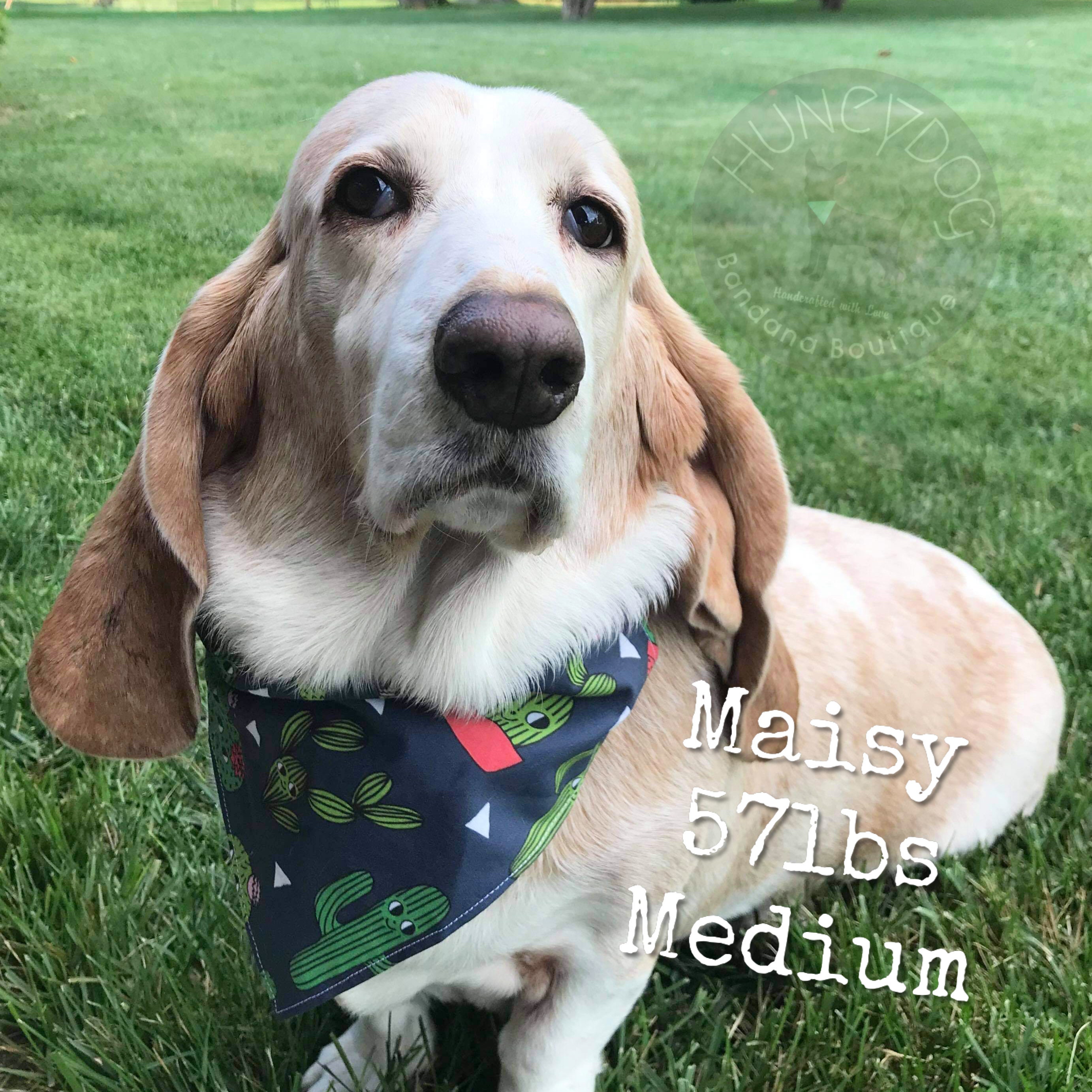 Falling Leaves – Reversible, Over the Collar Dog Cat Bandana | Fall Dog ...