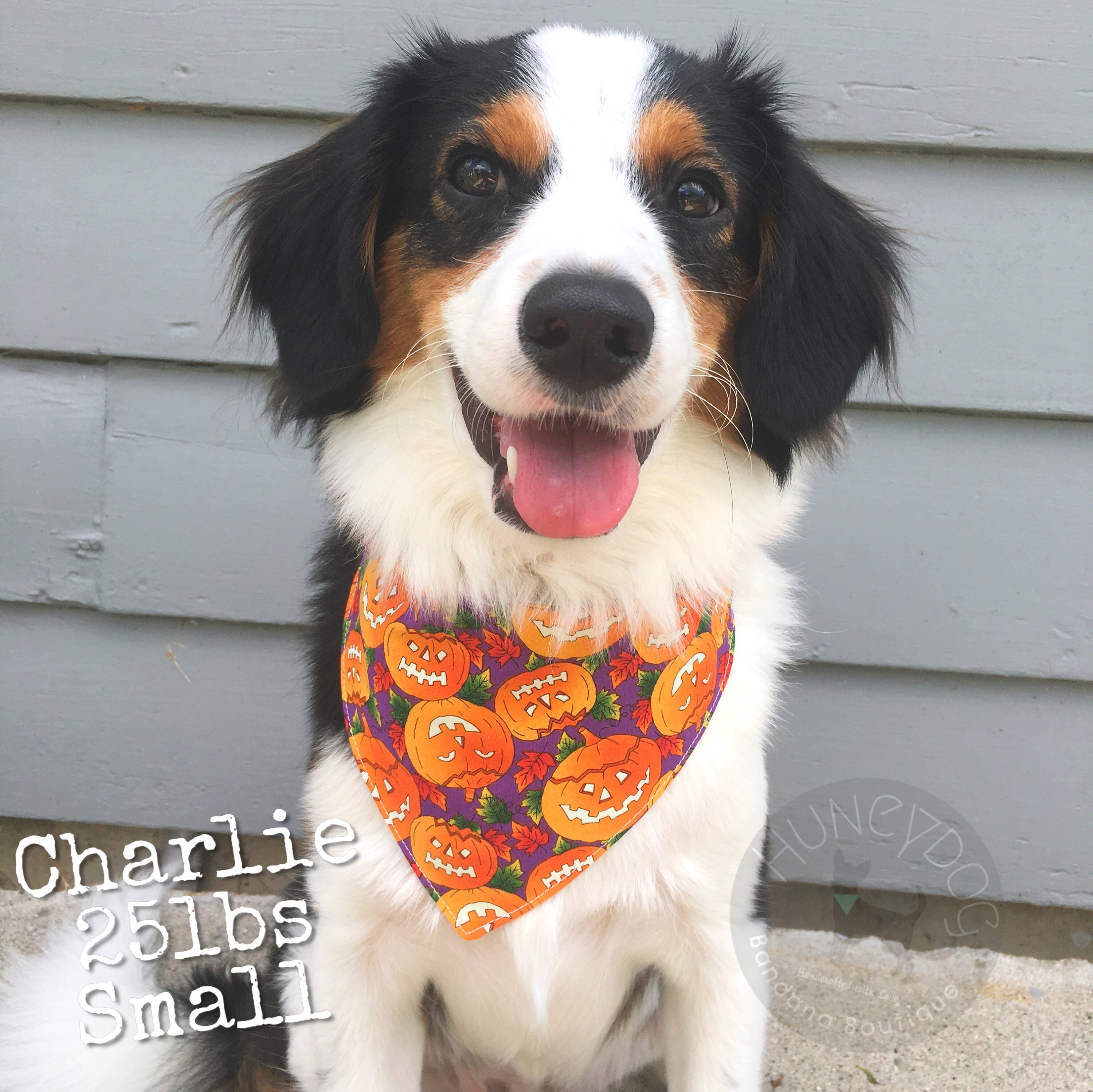 Falling Leaves – Reversible, Over the Collar Dog Cat Bandana | Fall Dog ...