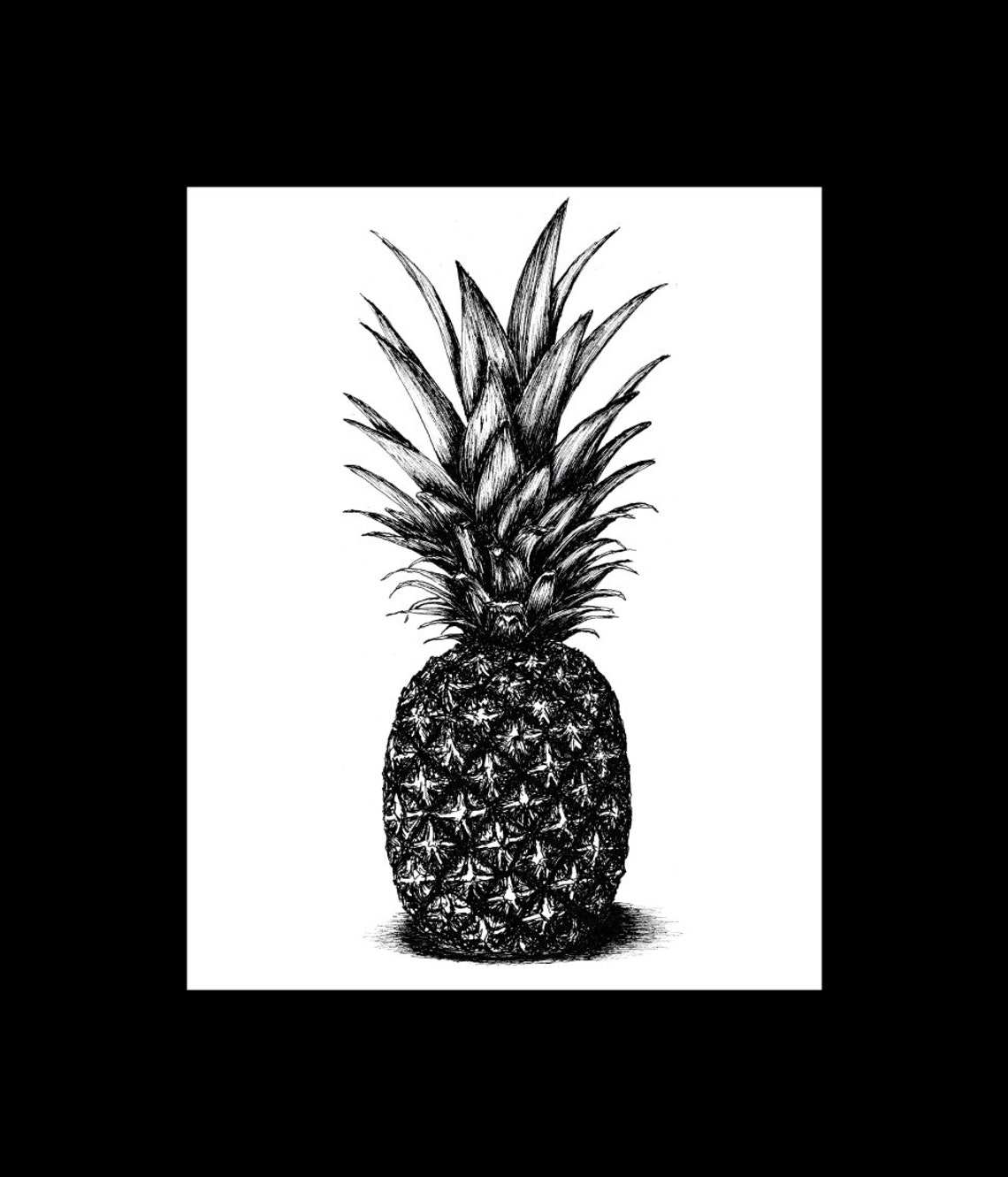 Pineapple Freehand Ink Drawing Limited Edition Print, Signed, Numbered ...