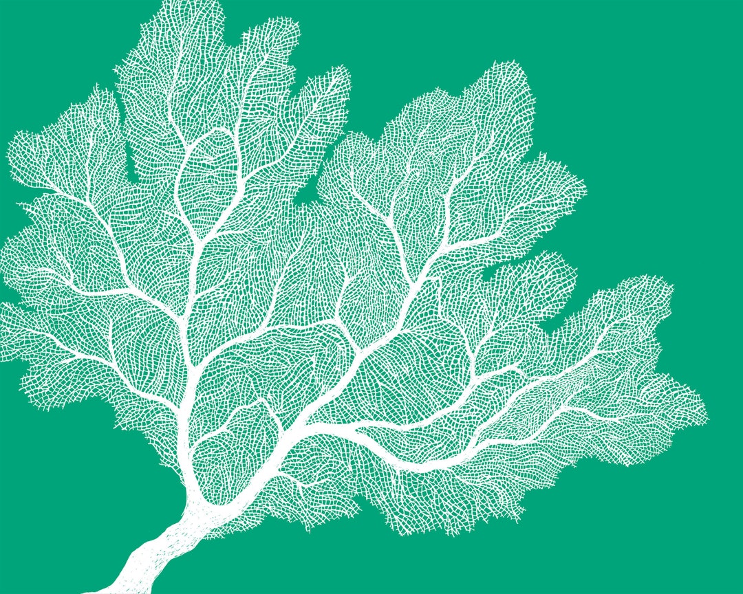 Seafan Inverted Sea Green, Freehand, Ink Drawing, Signed, Numbered ...