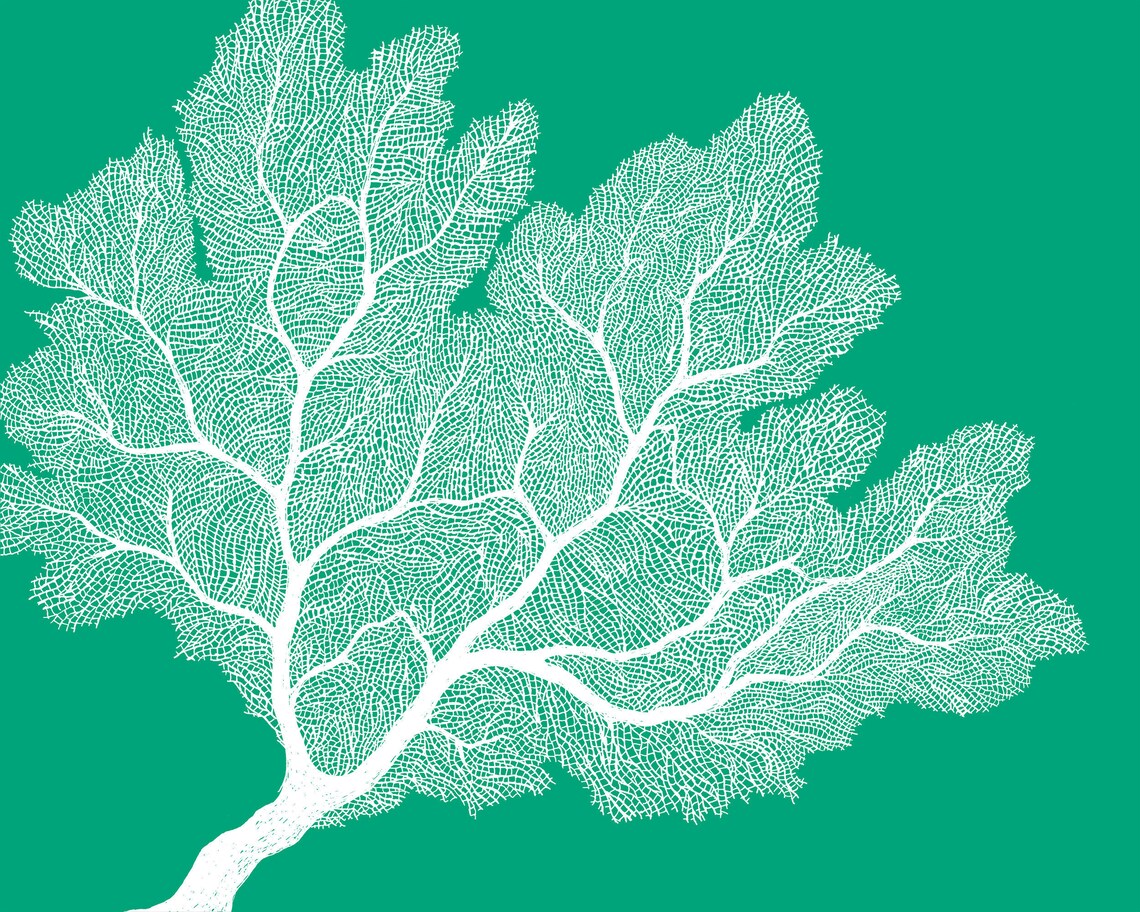 Seafan Inverted Sea Green, Freehand, Ink Drawing, Signed, Numbered ...