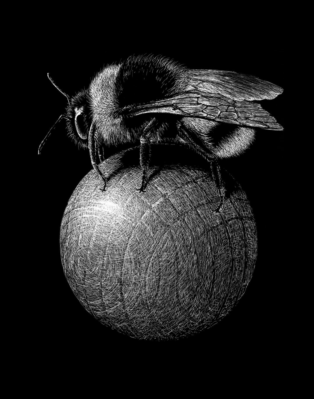 Playful Bumble Bee - Freehand Ink Drawing, Signed, Numbered, Limited ...
