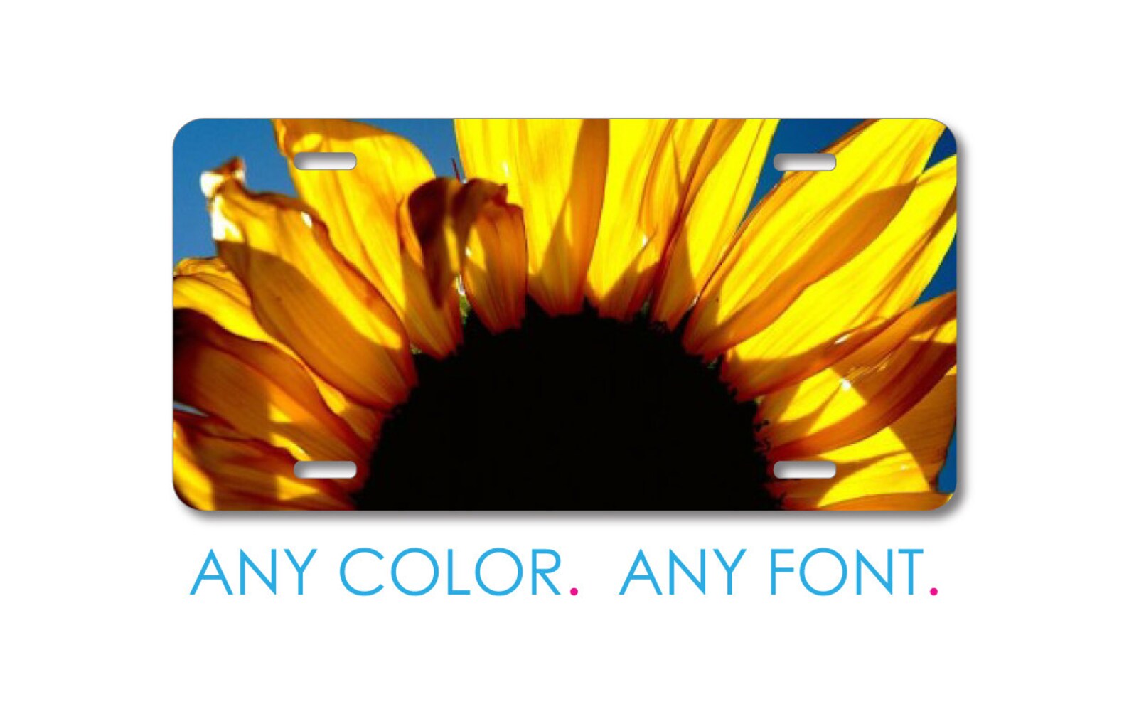 Custom License Plate Front Car Tag Aluminum or Plastic - Etsy