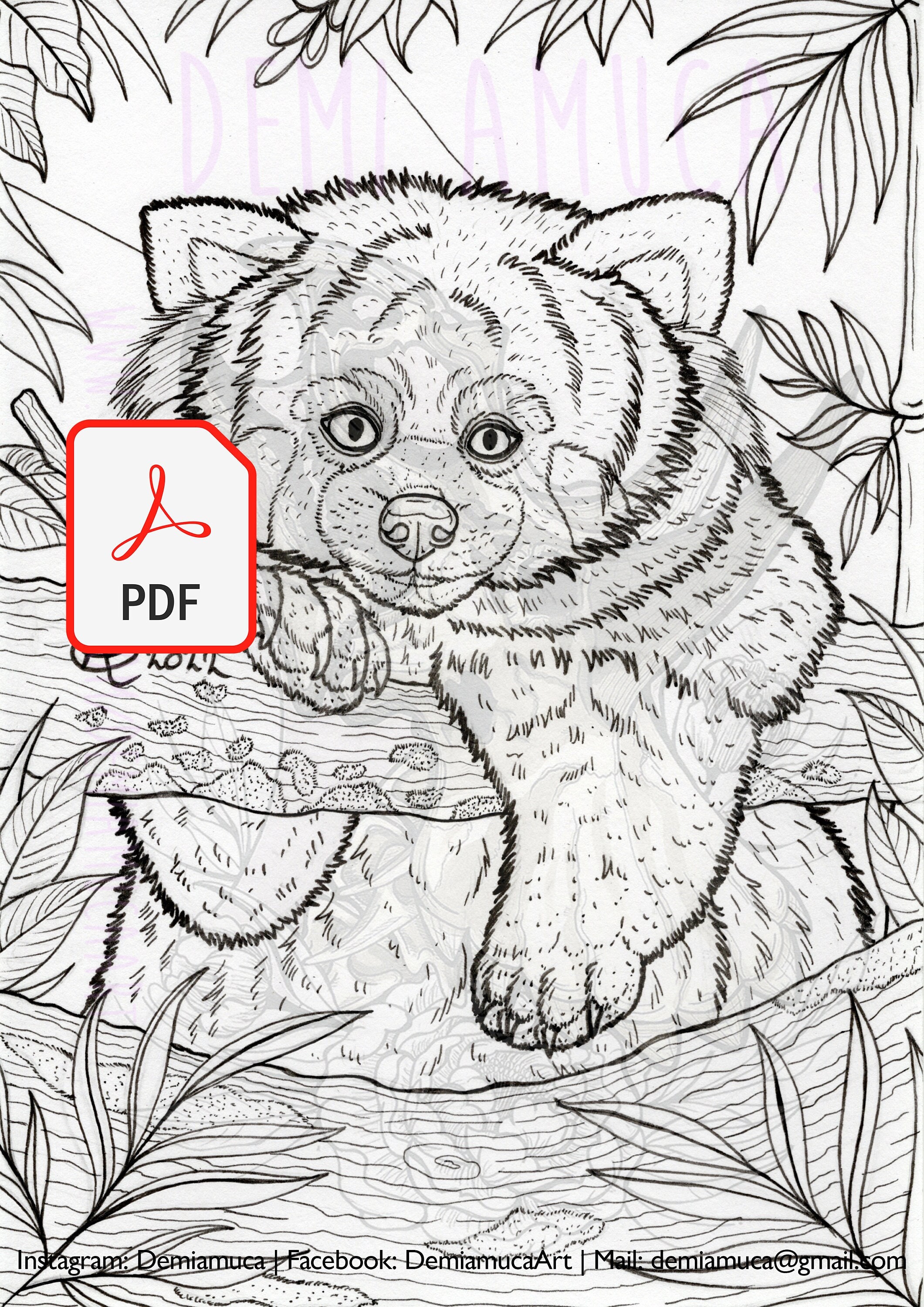 Coloring Page | Red Panda | Small Panda | Fluffy | Adorable - Etsy