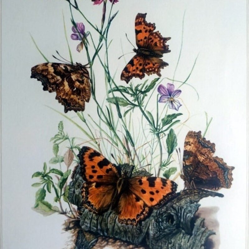 Butterfly Lithograph - Etsy