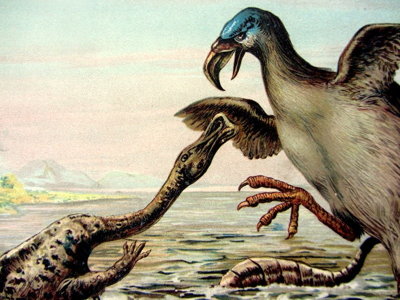 Antique Amazing BRONTORNIS Prehistoric Animal Print Engraving - Etsy