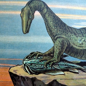 1900 Antique rare animal Protorosaurus print engraving | Etsy