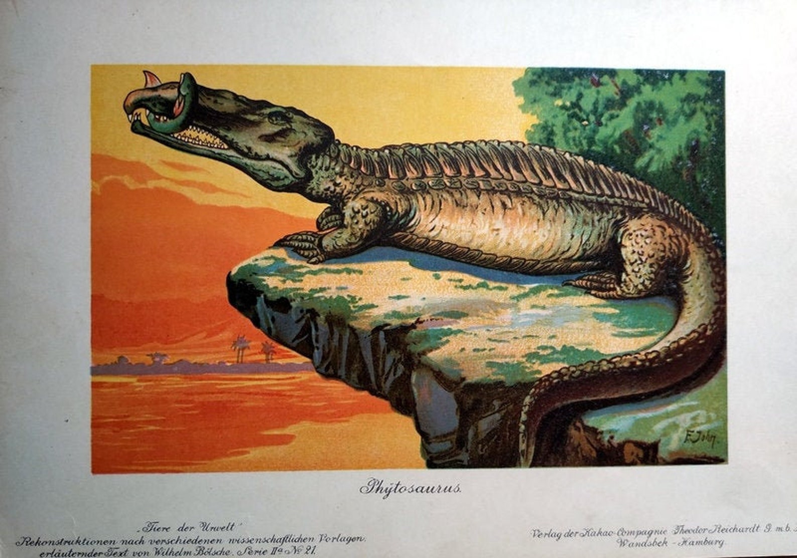 Antique Dinosaur Print Engraving, 1900 Original Color Lithograph of ...