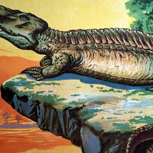 Antique Dinosaur Print Engraving, 1900 Original Color Lithograph of ...