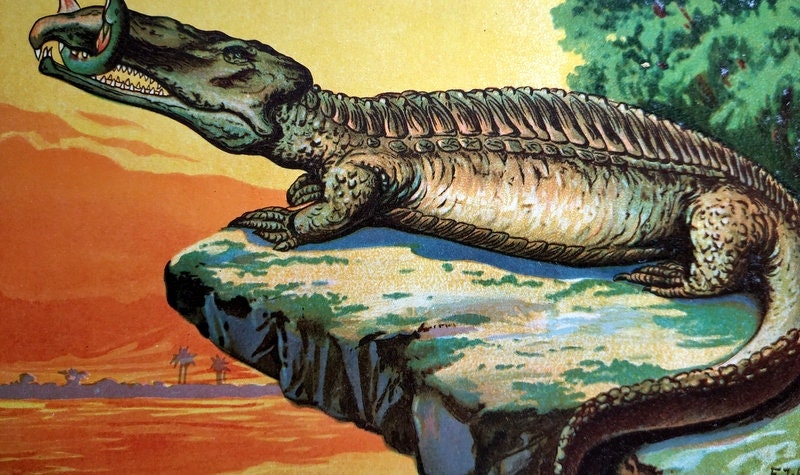 Antique Dinosaur Print Engraving, 1900 Original Color Lithograph of ...