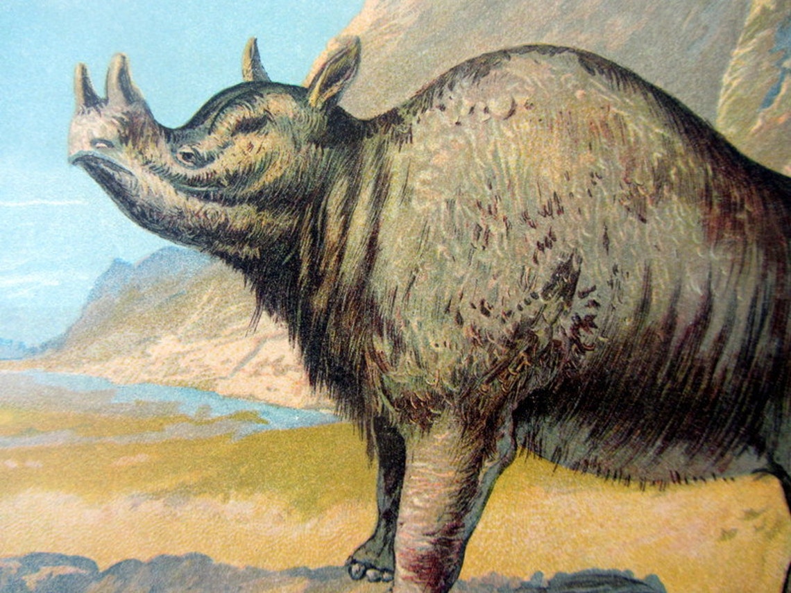 Antique Dinosaur Print, Megacerops Brontops Engraving, 1900 Vintage ...