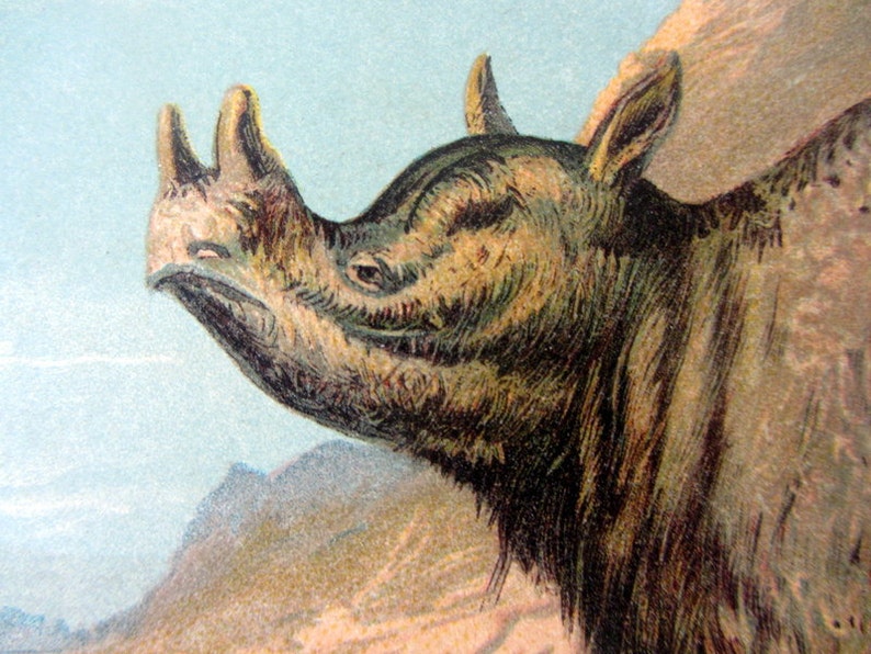 Antique Dinosaur Print, Megacerops Brontops Engraving, 1900 Vintage ...