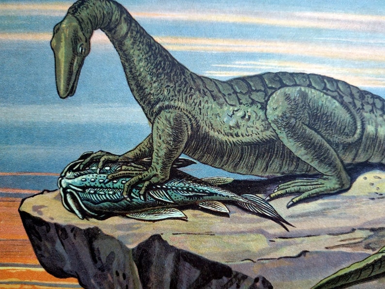 1900 Antique Rare Animal Protorosaurus Print Engraving - Etsy