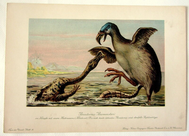 Antique Amazing BRONTORNIS Prehistoric Animal Print Engraving - Etsy