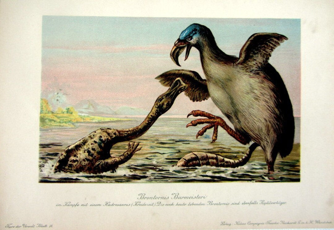 Antique Amazing BRONTORNIS Prehistoric Animal Print Engraving - Etsy