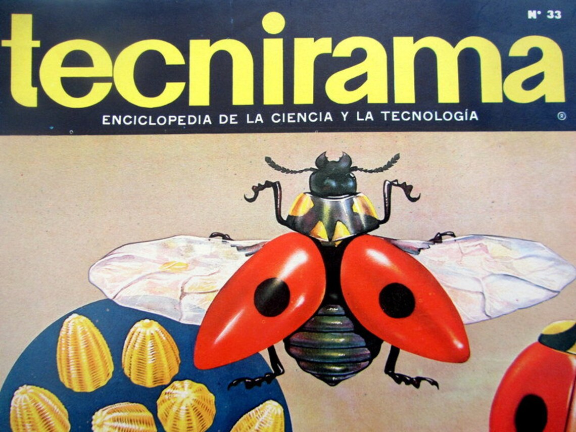 Vintage Original Insects Magazine Cover of Science and - Etsy