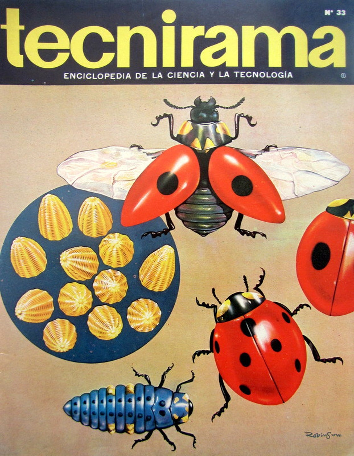 Vintage Original Insects Magazine Cover of Science and - Etsy