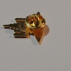 Radiology Pin - RT Caduceus Gold - Etsy