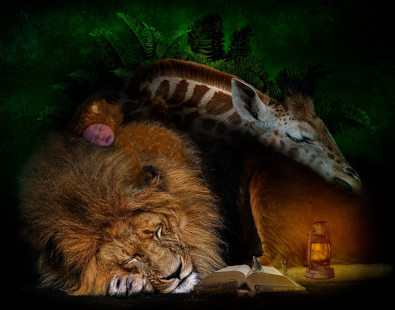 Bedtime Lion and Friends - Etsy