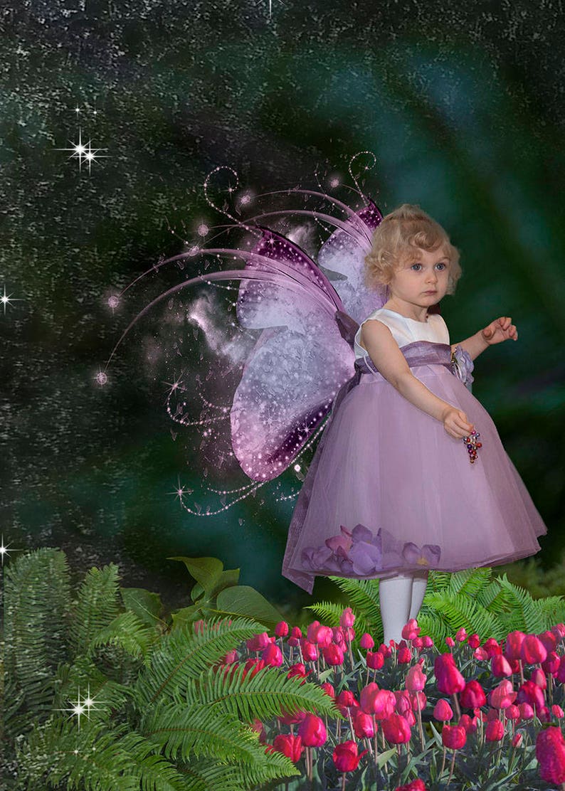 Sparkle Fairy Wings - Etsy Australia