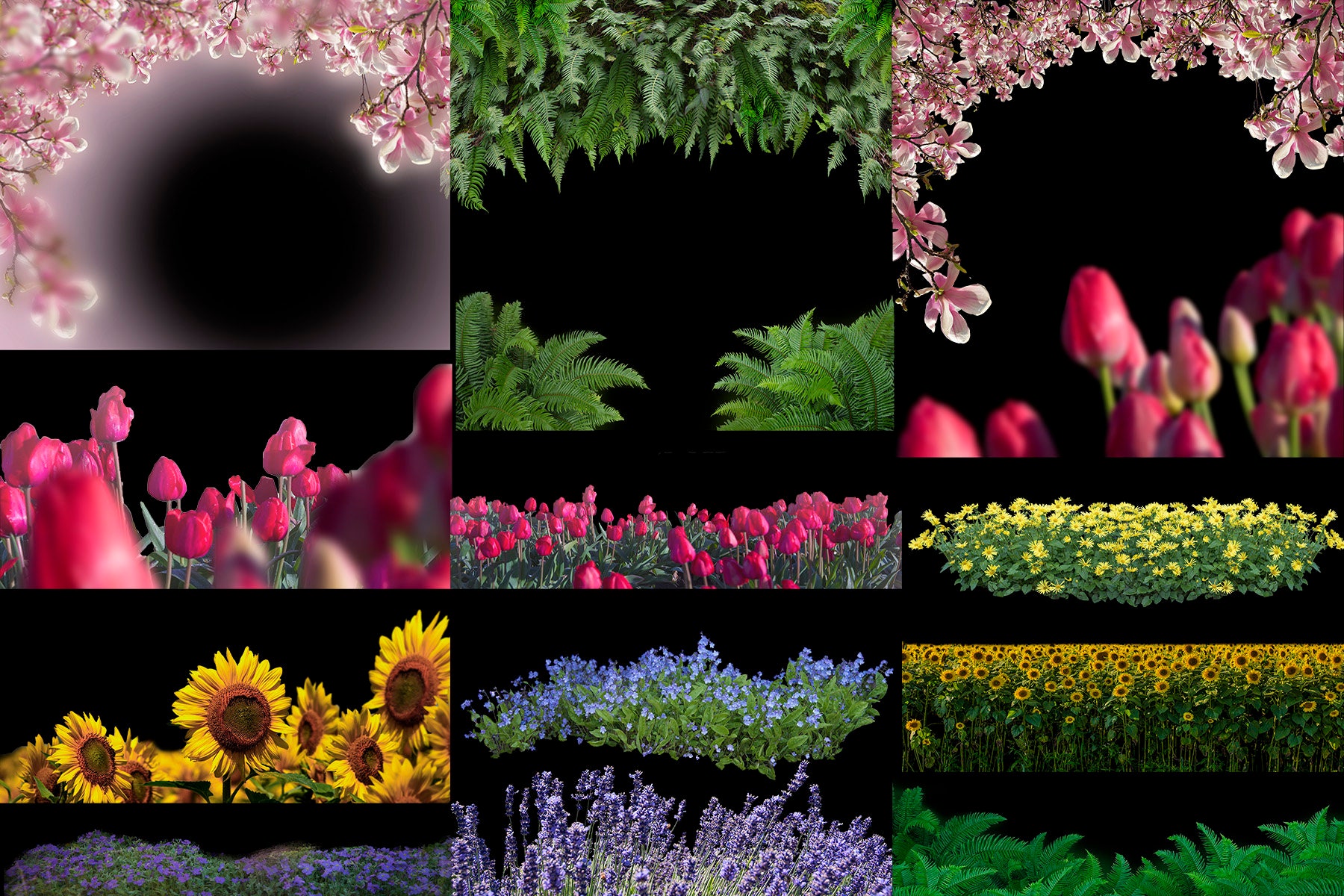 Floral Overlays | Etsy