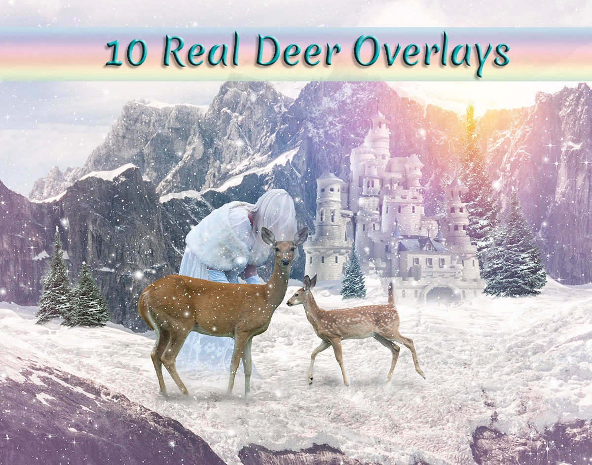 Real Deer Overlays - Etsy