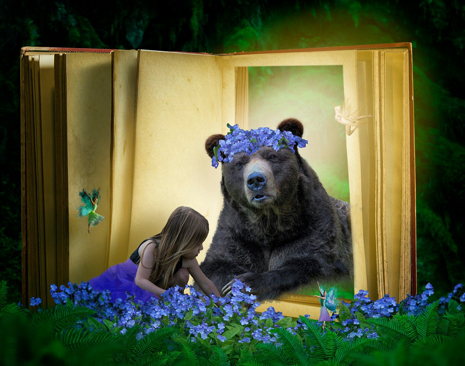 Open Book Frame Overlays - Etsy