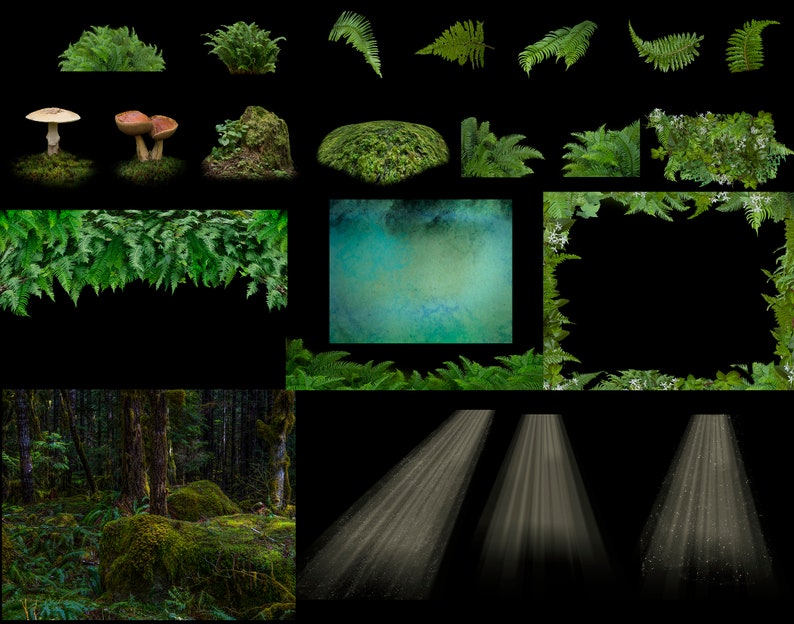 Fern, Sunbeams, Mushrooms and Forest Overlays - Etsy