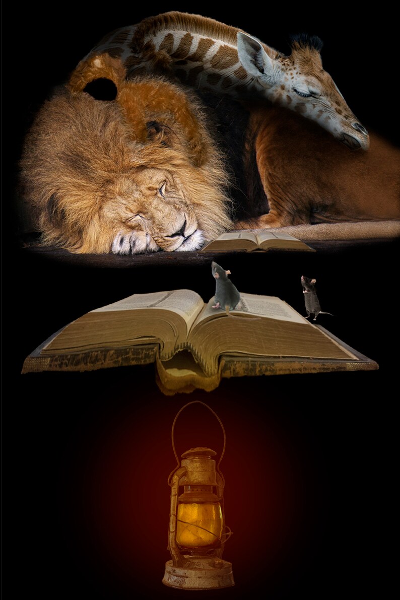 Bedtime Lion and Friends - Etsy